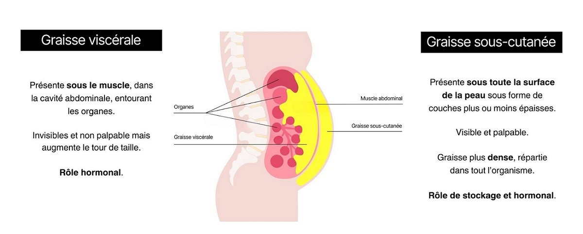 Comment maigrir du ventre